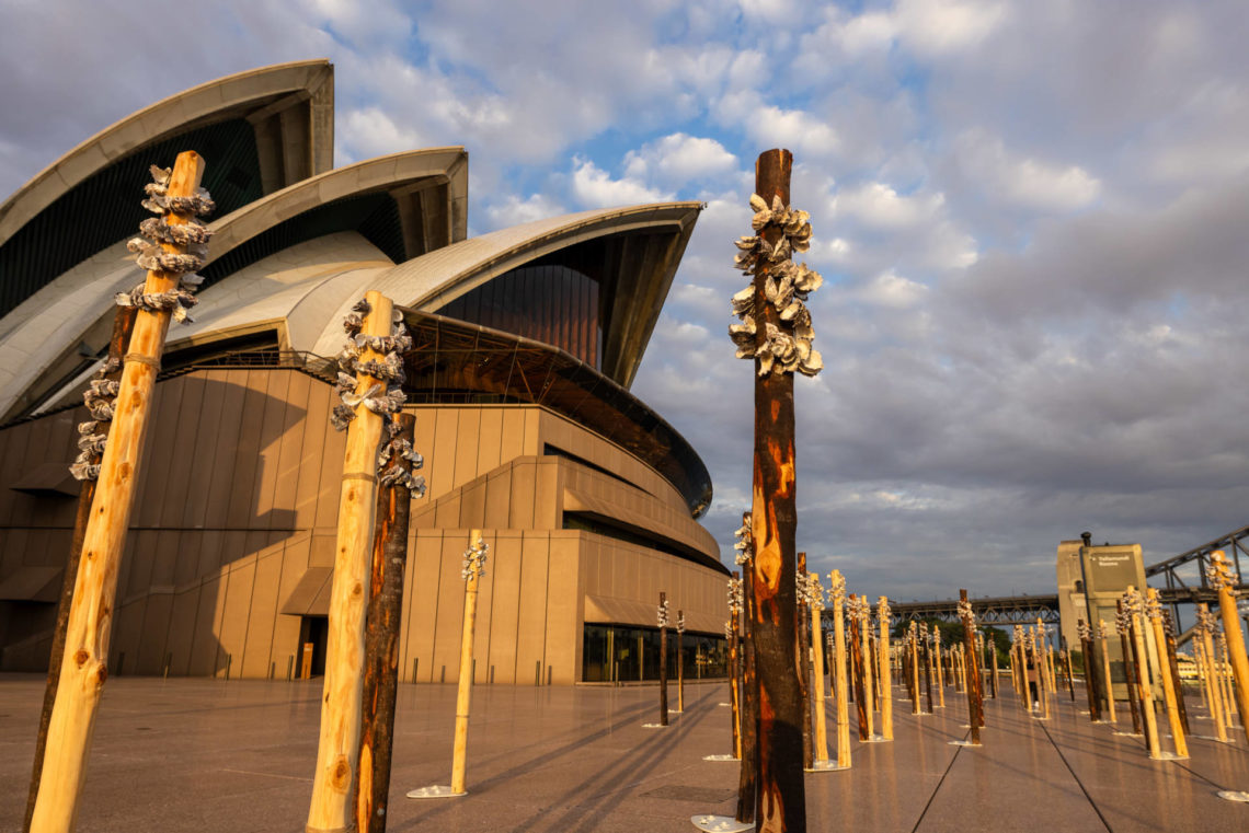 Megan Cope Whispers exhibition at Sydney Opera House for 50th birthday ...
